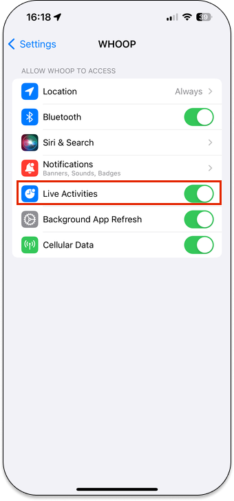 How to Use the WHOOP iOS Widgets